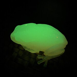 UV Reactive Neon Glow in the Dark Frog Nightlight Paperweight Gift Idea ...