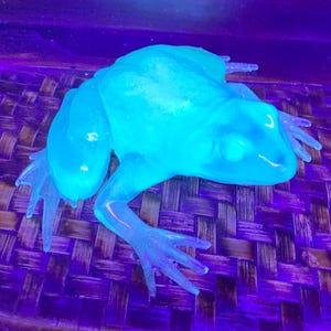 Clear Glow in the Dark Frog, Frog Lover Gift Idea, Paperweight Desk ...