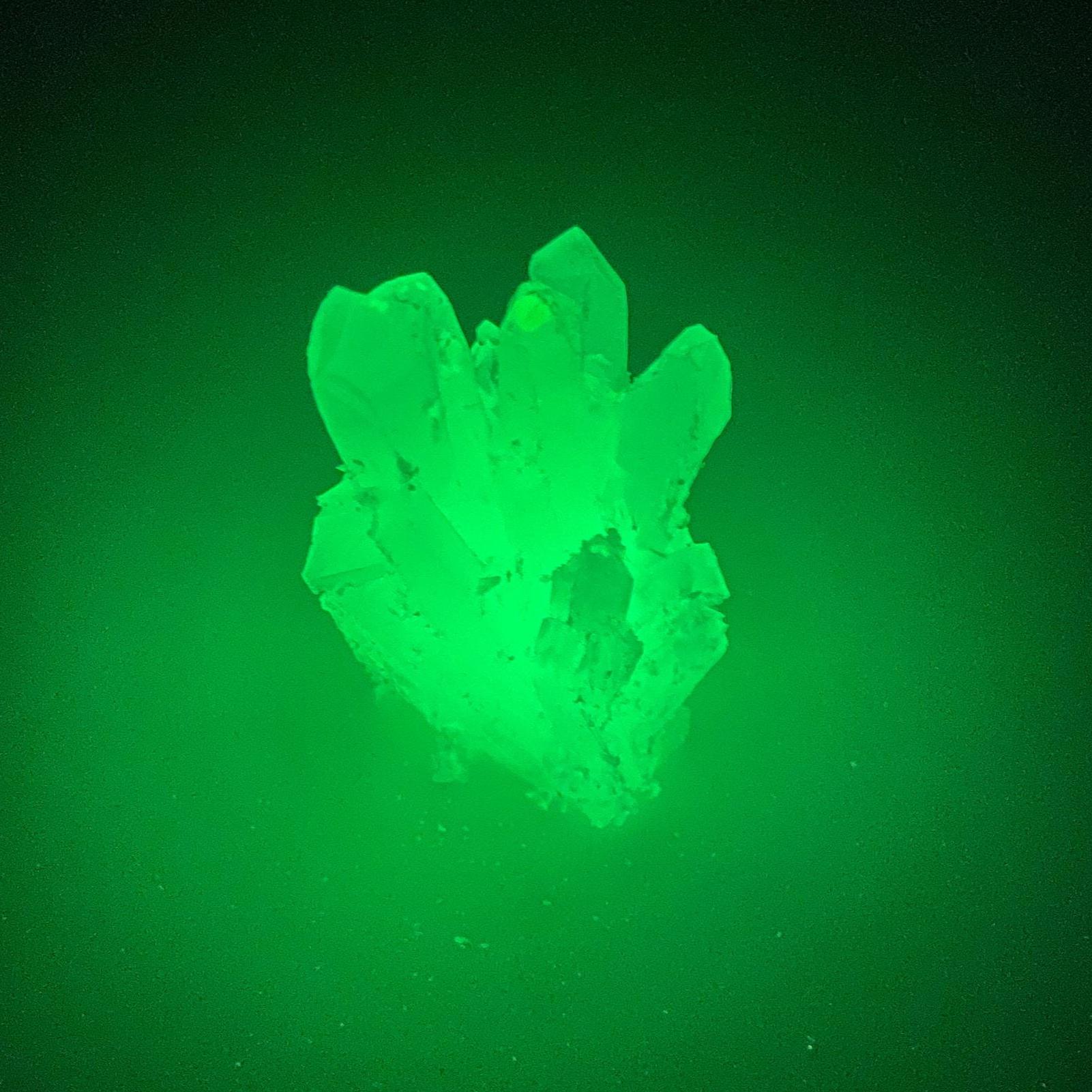 Glow in the Dark UV Reactive Neon Glow Crystals in White, Orange, Red ...