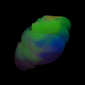 Glow in the Dark Snake Paperweight, Multicolorglowing UV Reactive Neon ...