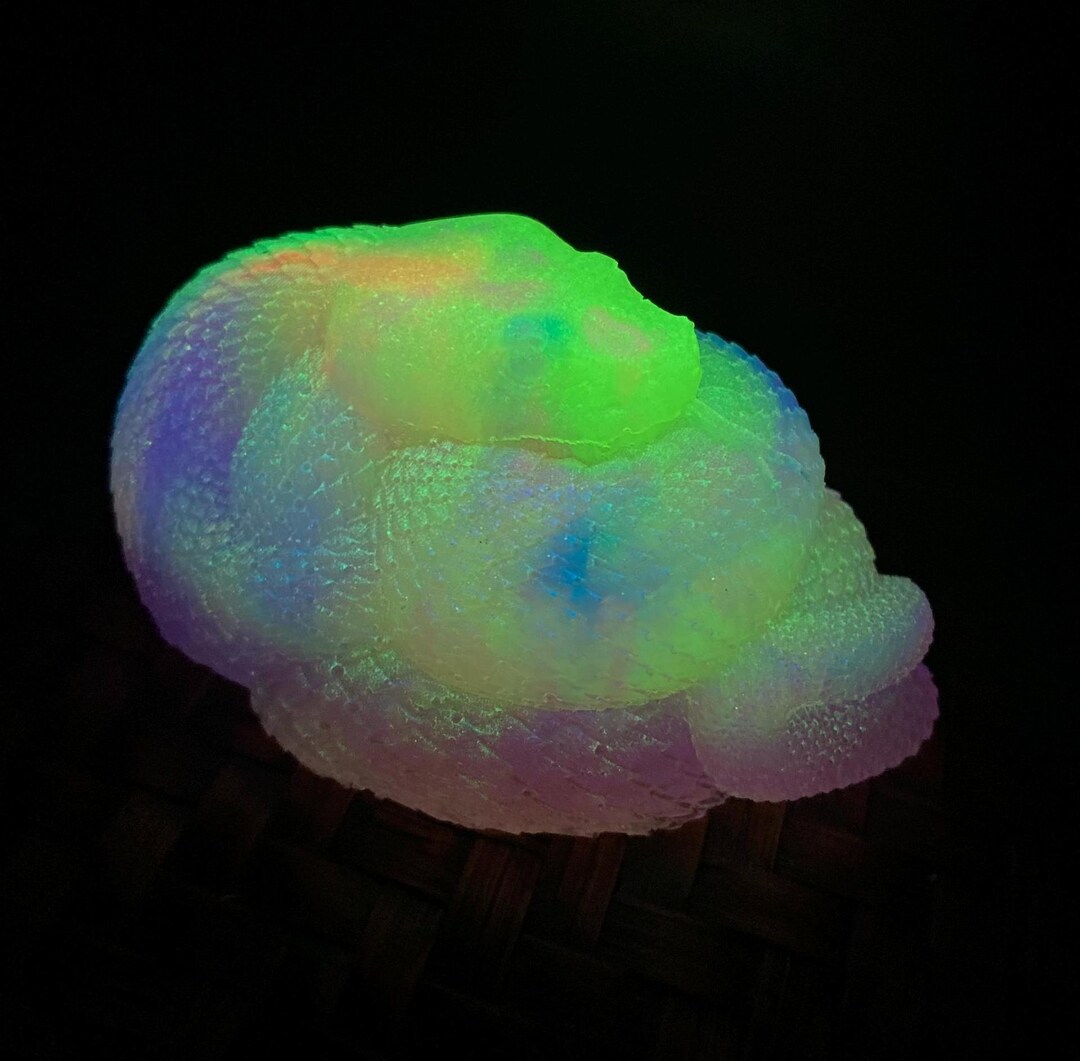 Glow in the Dark Snake Paperweight, Multicolorglowing UV Reactive Neon ...