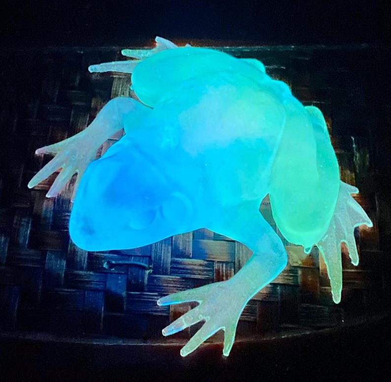 Clear Glow in the Dark Frog, Frog Lover Gift Idea, Paperweight Desk ...