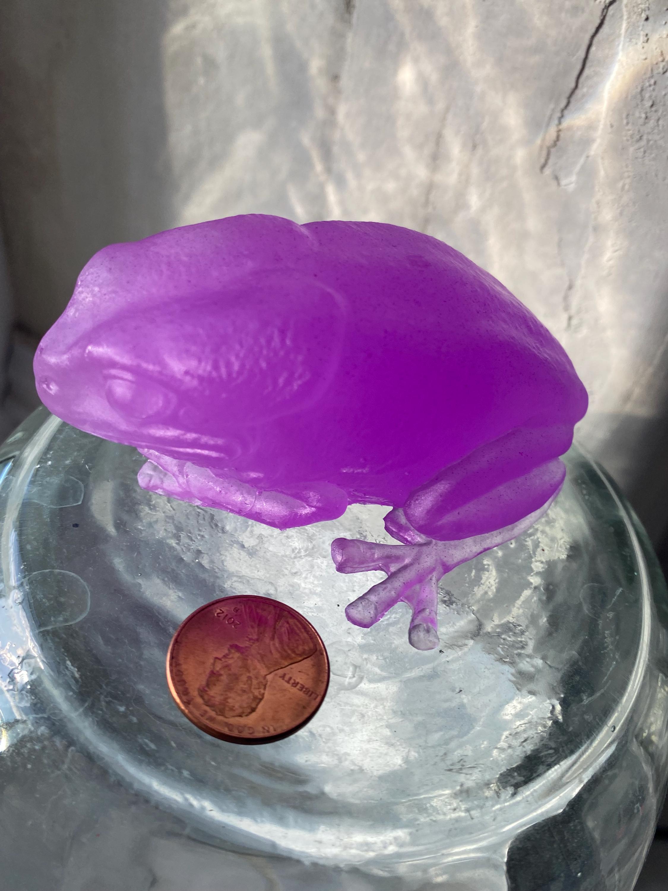 UV Reactive Neon Glow in the Dark Frog Nightlight Paperweight Gift Idea ...