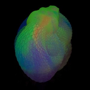 Glow in the Dark Snake Paperweight, Multicolorglowing UV Reactive Neon ...