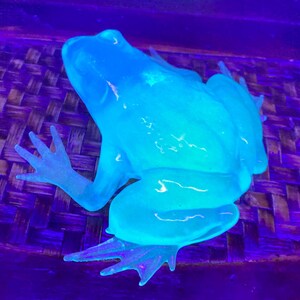 Clear Glow in the Dark Frog, Frog Lover Gift Idea, Paperweight Desk ...