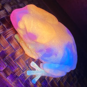 UV Reactive Neon Glow in the Dark Frog Nightlight Paperweight Gift Idea ...