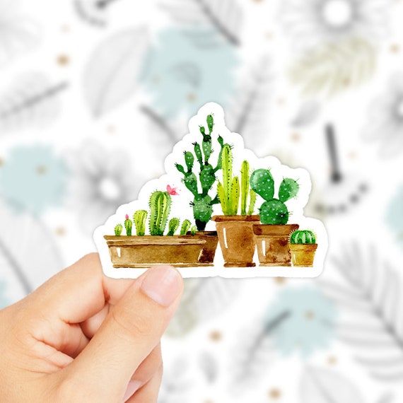 Cactus Sticker - Etsy