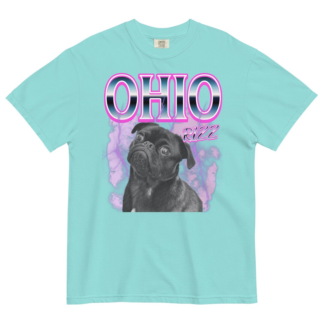 Comfort Colors Ohio Rizz Shirt, Ohio Rizzler T Shirt, Funny Meme Shirt ...