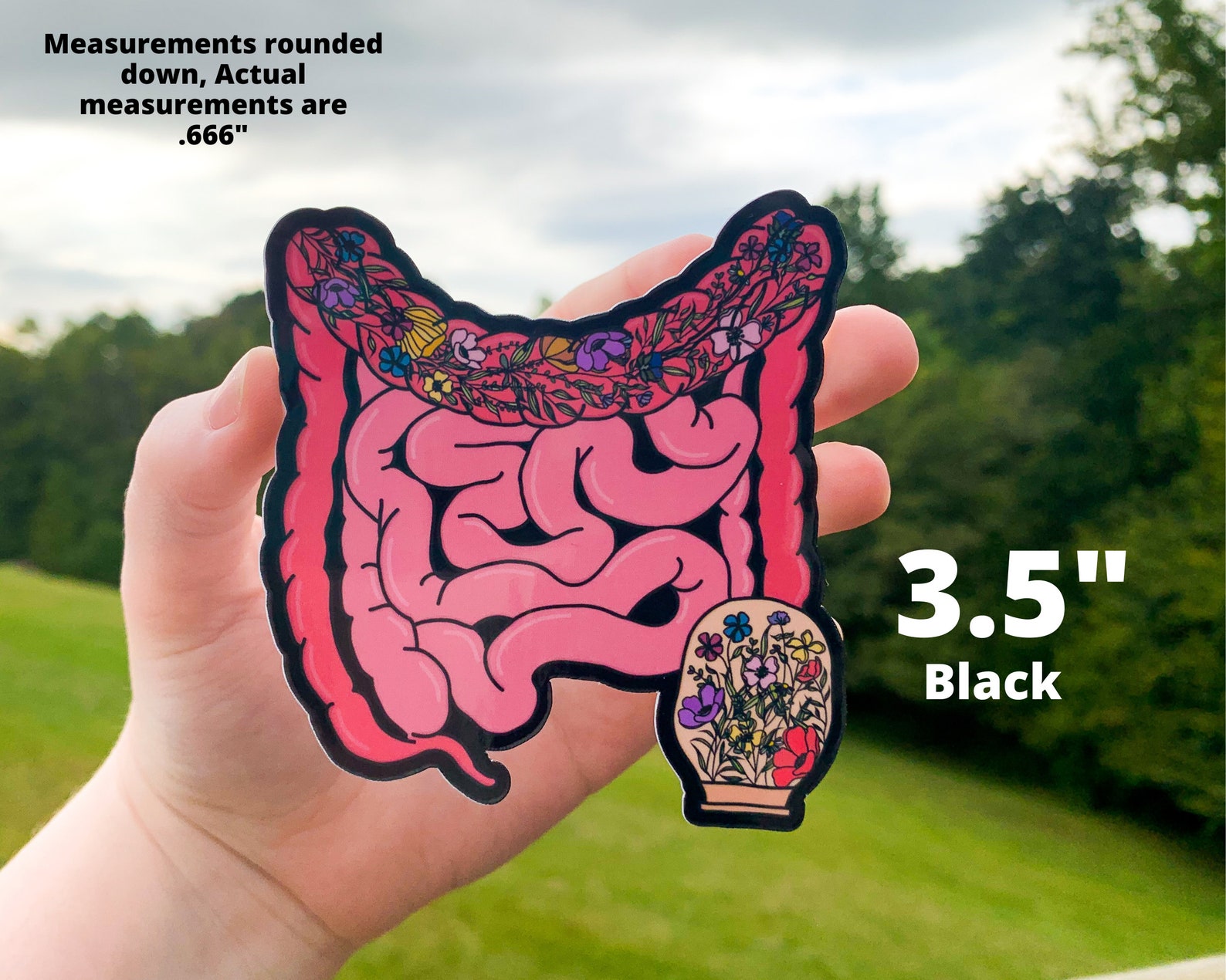 Ostomy Sticker, Floral Anatomy Intestines With Ostomy Bag Awareness ...