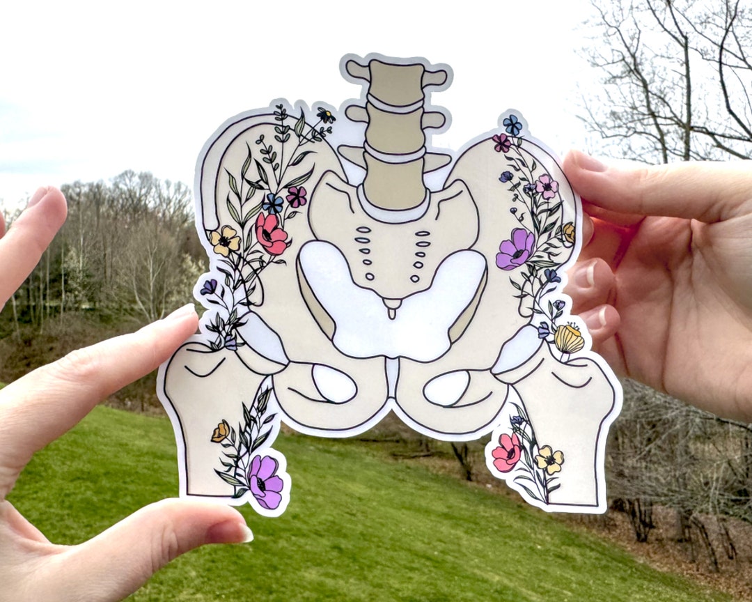 Pelvis Sticker, Floral Anatomy Hip and Pelvis Awareness Sticker - Etsy