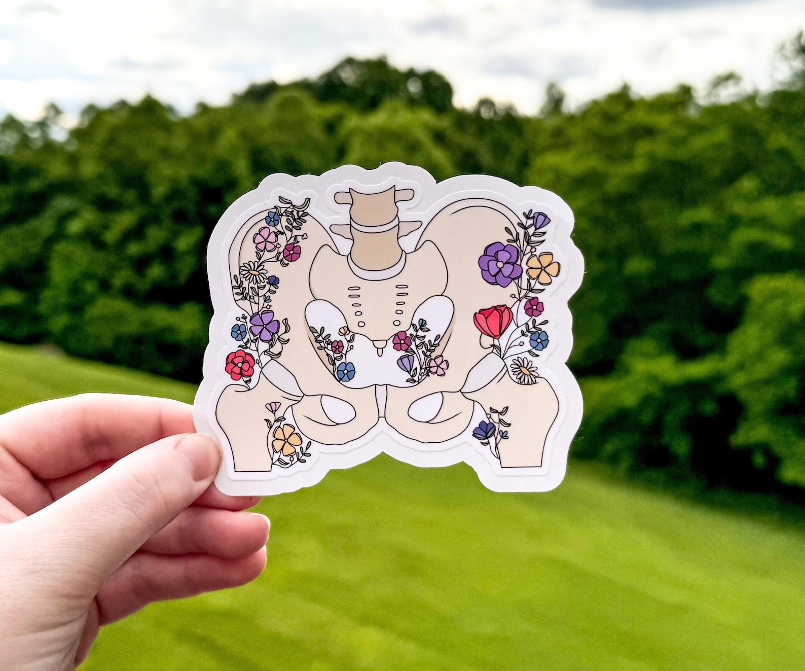 Pelvis Sticker, Floral Anatomy Hip and Pelvis Awareness Sticker ...