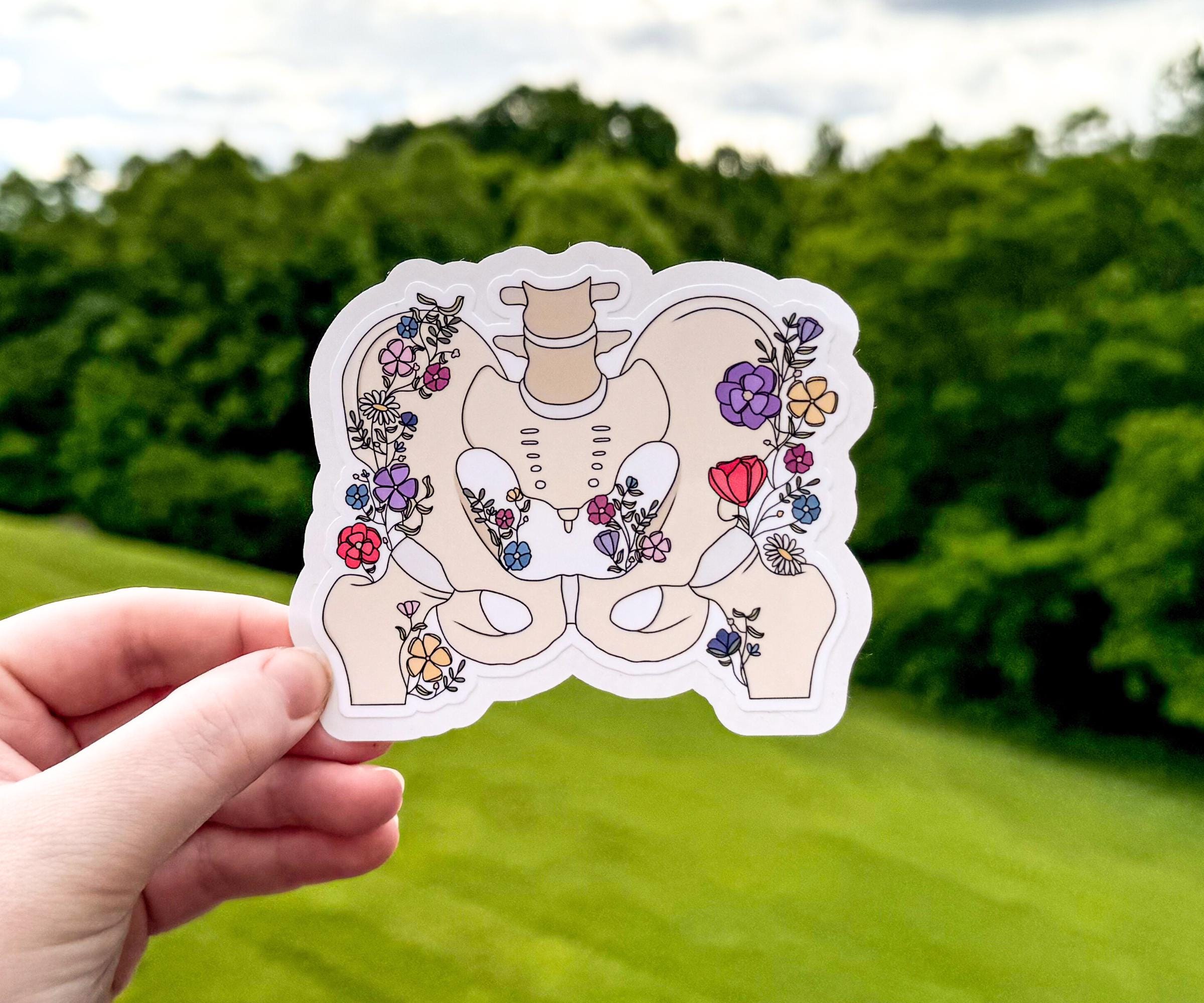Pelvis Sticker, Floral Anatomy Hip and Pelvis Awareness Sticker ...