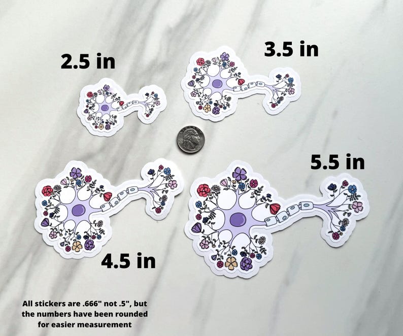 Neuron Sticker, Floral Anatomy Neuron Awareness Sticker, Neuropathy ...