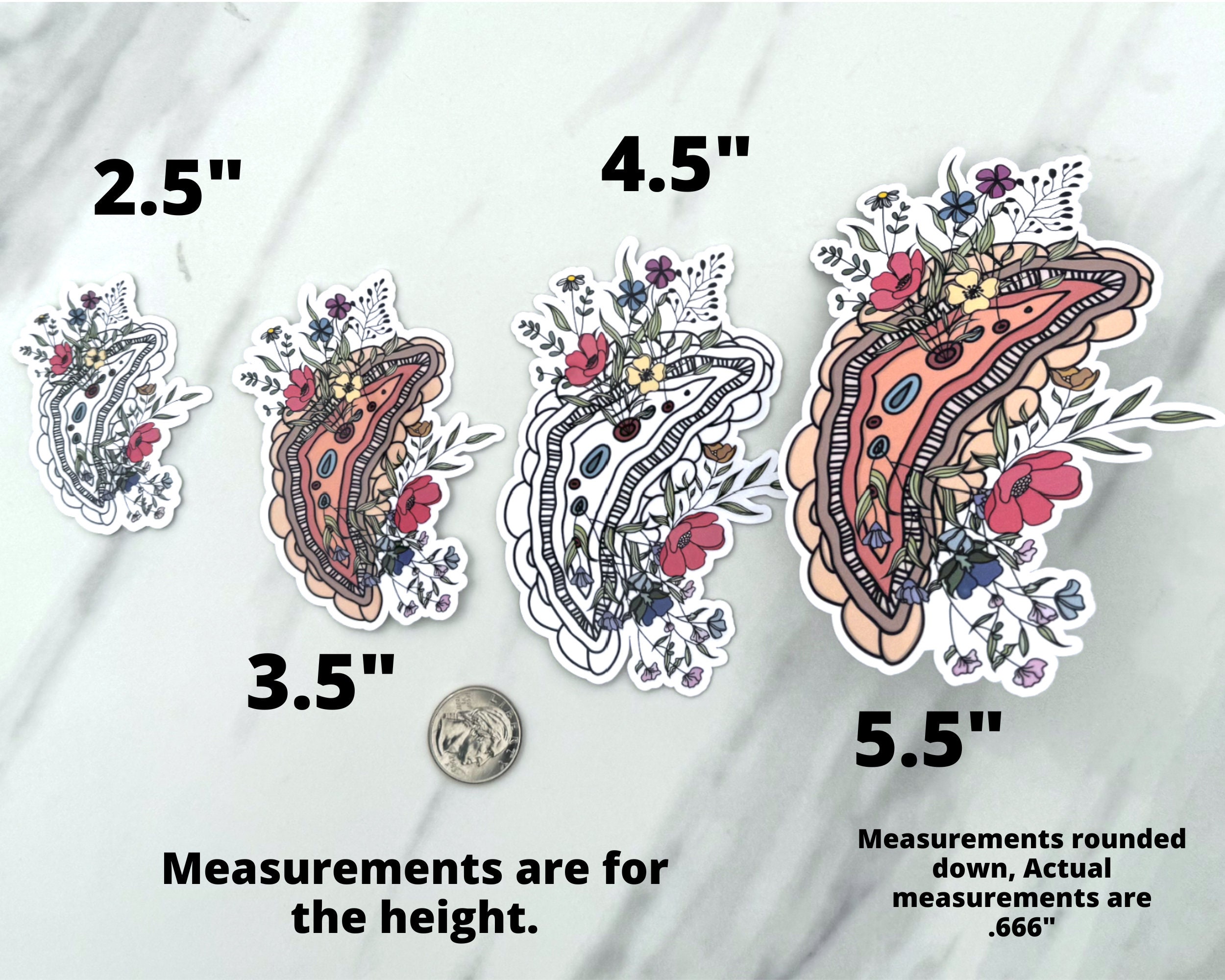 Adrenal Gland Sticker, Floral Anatomy Adrenal Gland, Cushing's and ...