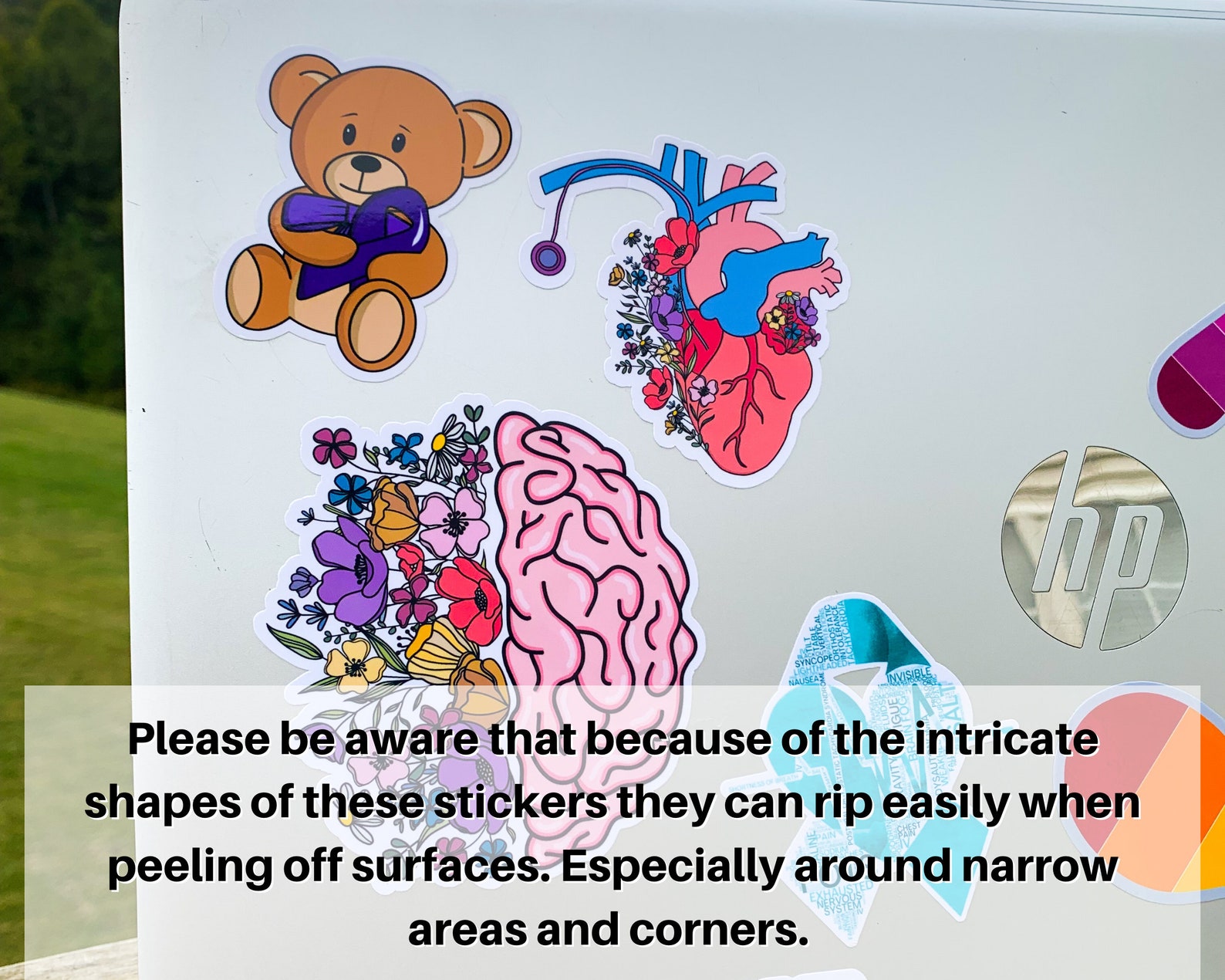 Kidney Sticker, Floral Anatomy Left and Right Kidney Disease Awareness ...
