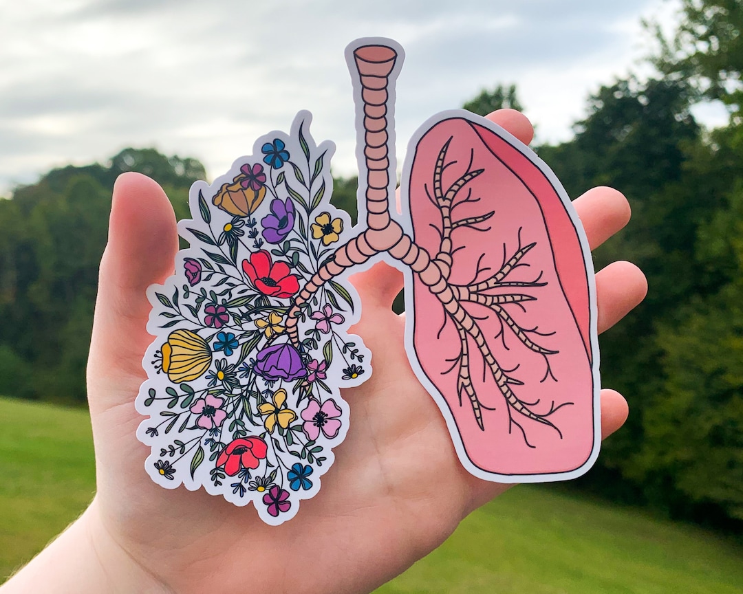 Lung Sticker, Floral Anatomy Lung Disease Awareness Sticker - Etsy