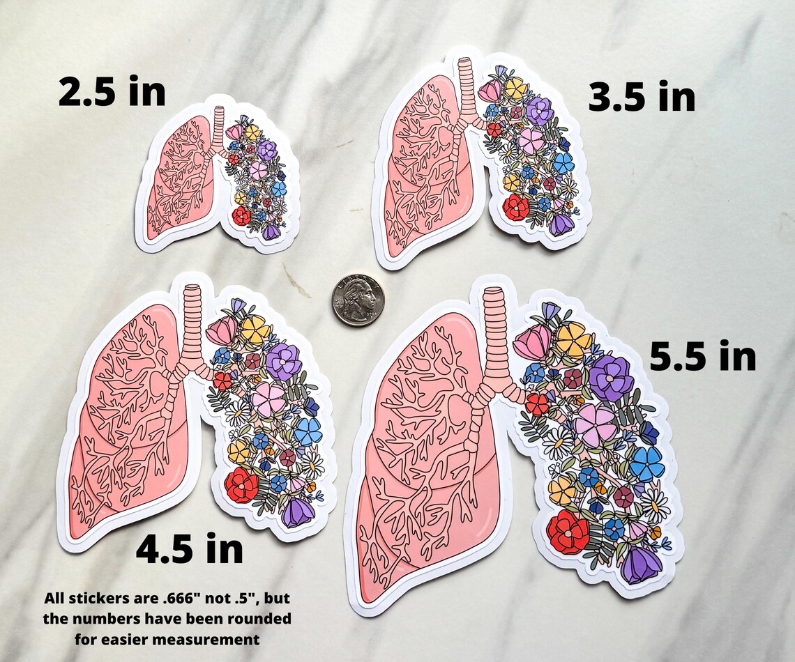 Lung Sticker, Floral Anatomy Lung Disease Awareness Sticker, Cystic ...
