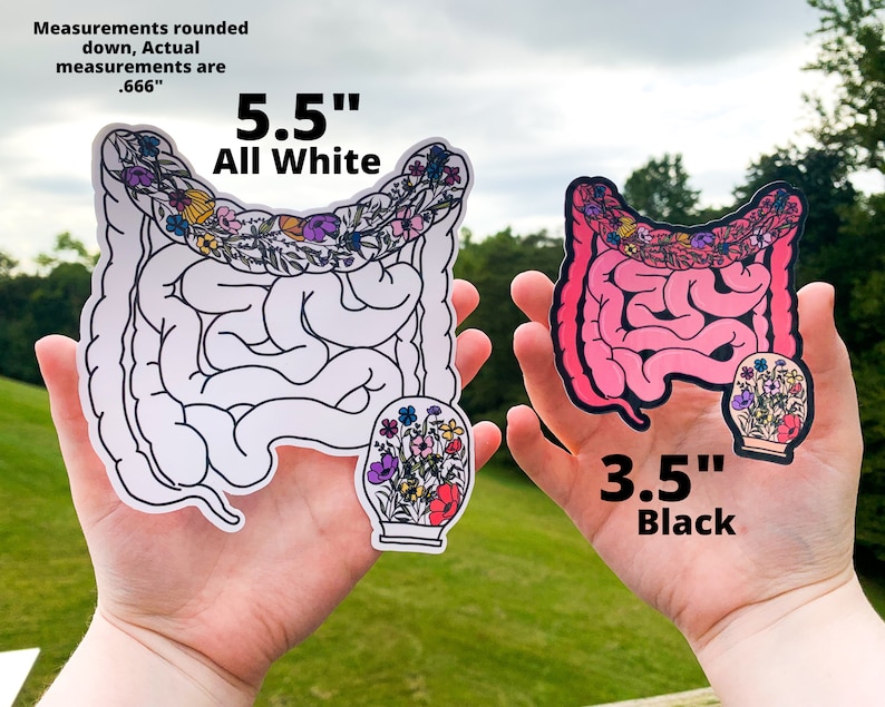 Ostomy Sticker, Floral Anatomy Intestines With Ostomy Bag Awareness ...