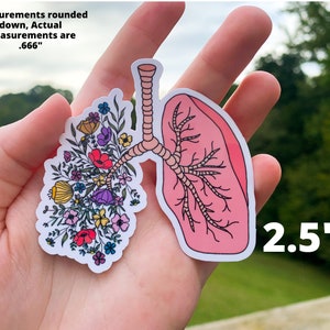 Lung Sticker, Floral Anatomy Lung Disease Awareness Sticker - Etsy