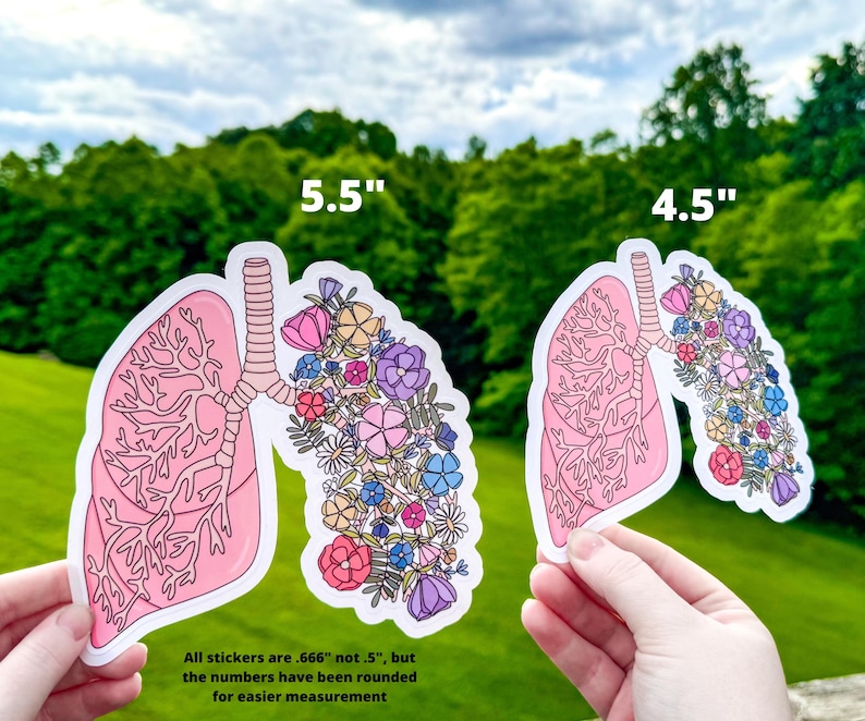 Lung Sticker, Floral Anatomy Lung Disease Awareness Sticker, Cystic ...