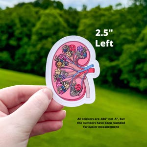 Kidney Sticker, Floral Anatomy Left and Right Kidney Disease Awareness ...