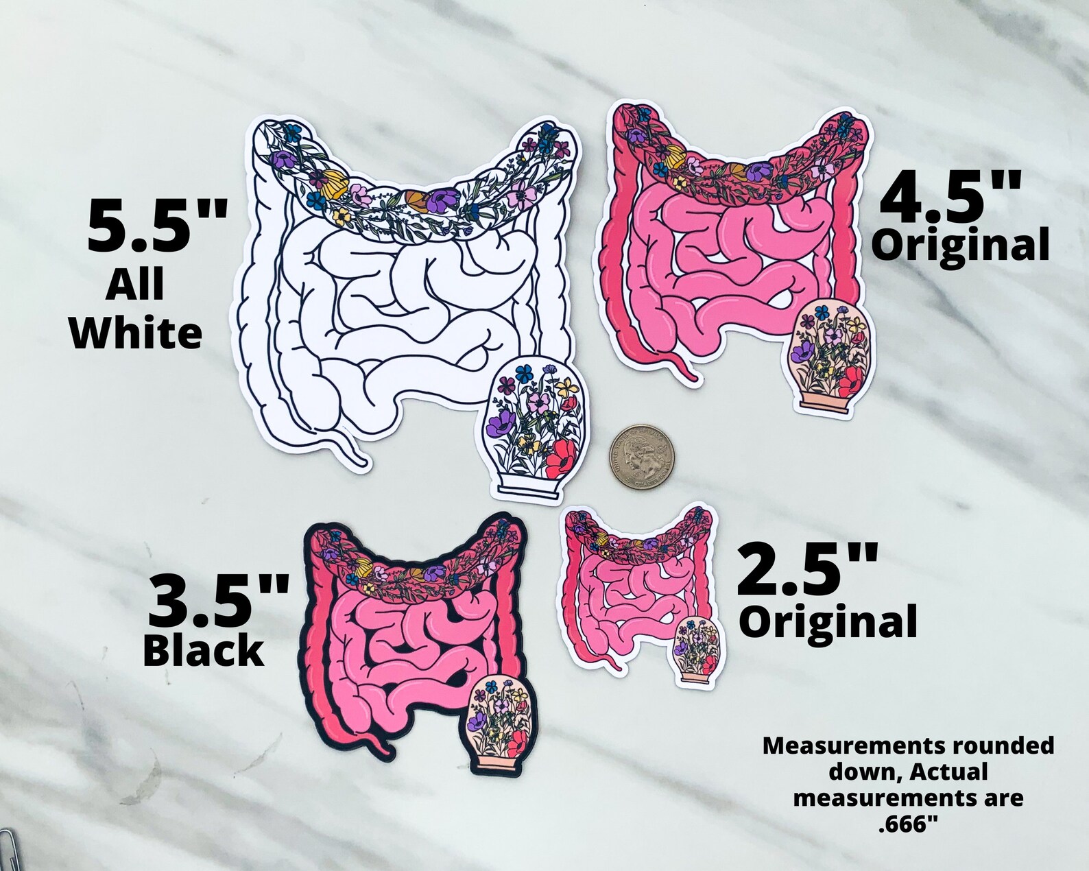 Ostomy Sticker, Floral Anatomy Intestines With Ostomy Bag Awareness ...