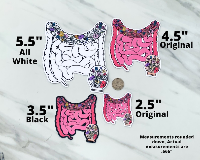 Ostomy Sticker, Floral Anatomy Intestines With Ostomy Bag Awareness ...