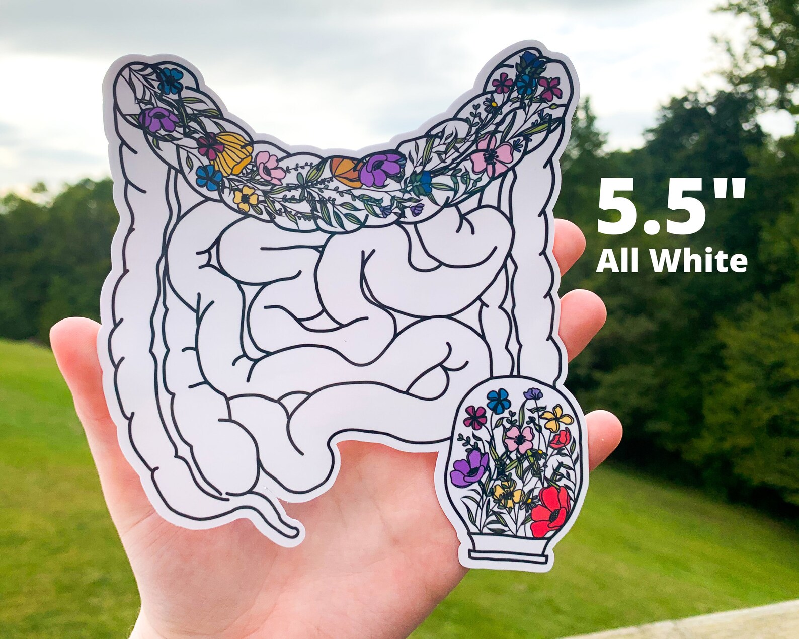 Ostomy Sticker, Floral Anatomy Intestines With Ostomy Bag Awareness ...