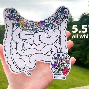 Ostomy Sticker, Floral Anatomy Intestines With Ostomy Bag Awareness ...