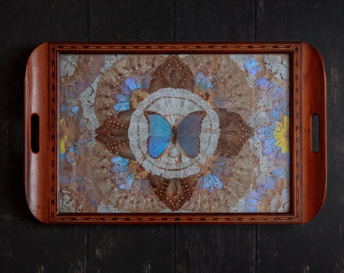 Antique Brazilian Morpho Butterfly Tray, Decorative Wooden Tray ...