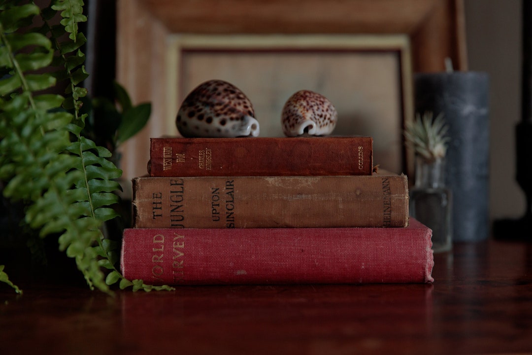 Trio of Antique Travel Themed Books, Earth Tone Bound Books, Old World ...