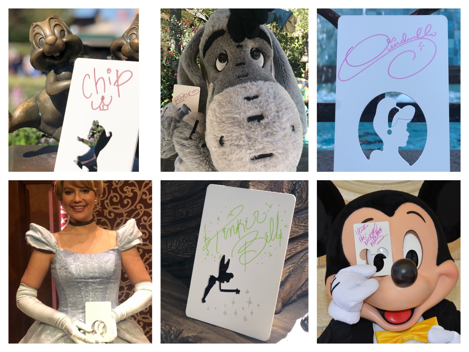 Single Signer Disney Autograph Sign. Disney Character | Etsy