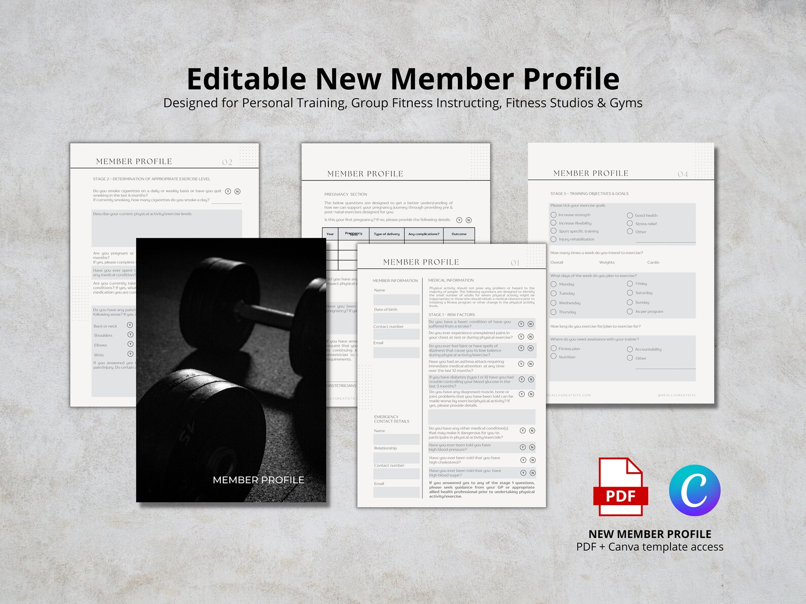 Editable New Member Profile Template | Canva Template New Client Form ...