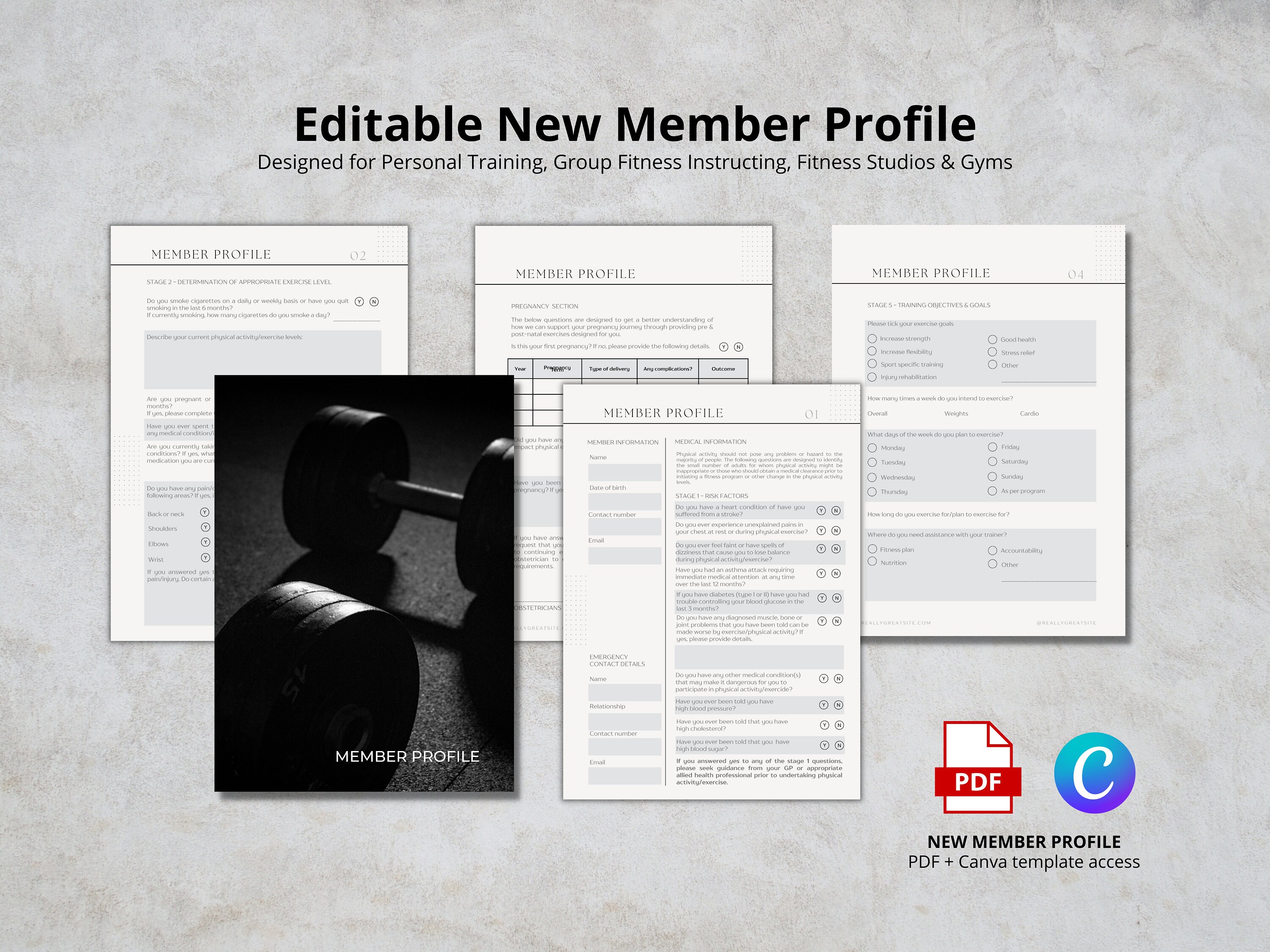 Editable New Member Profile Template | Canva Template New Client Form ...