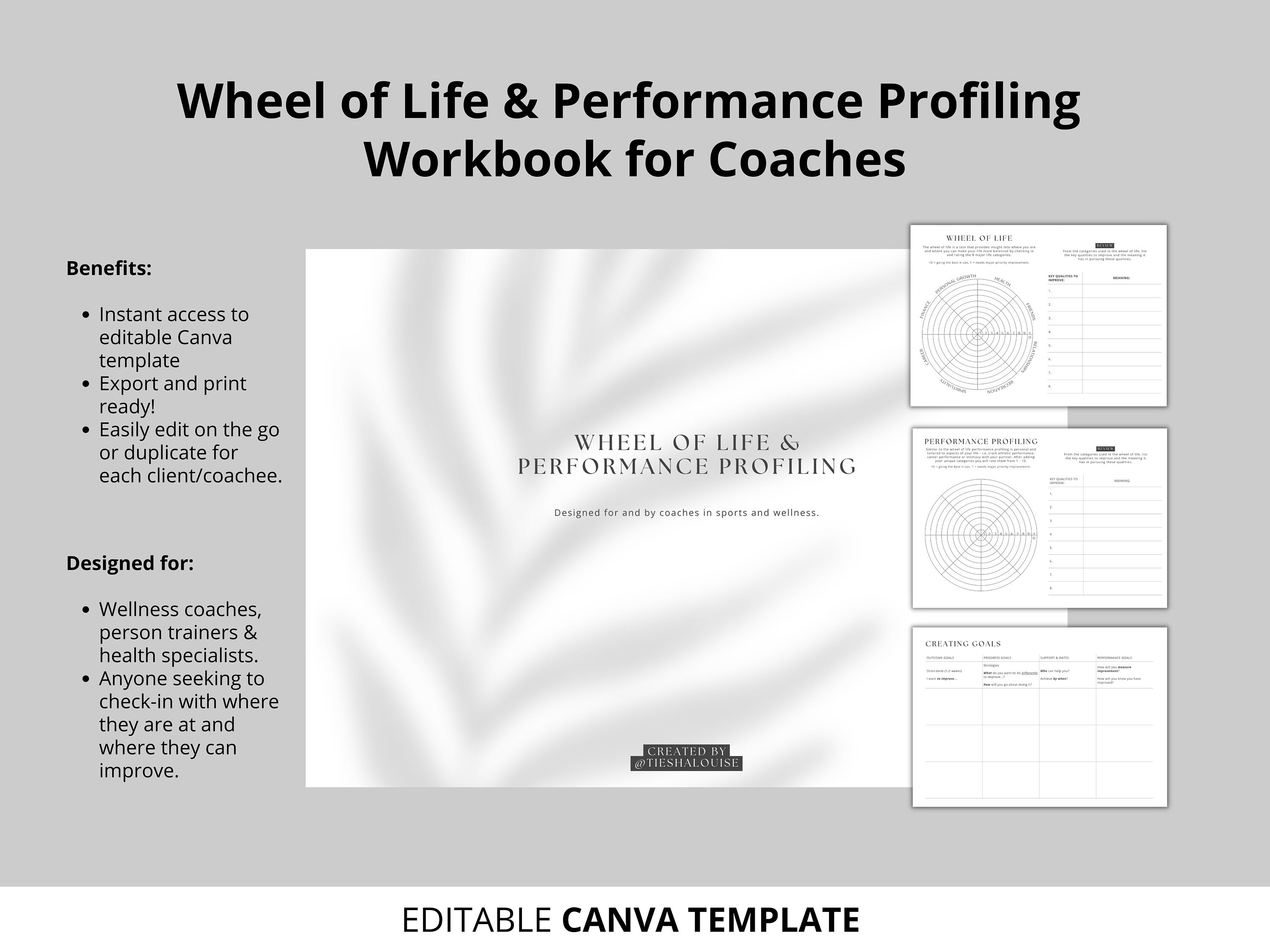 Editable Wheel of Life Canva Template Therapy Tools and - Etsy Canada