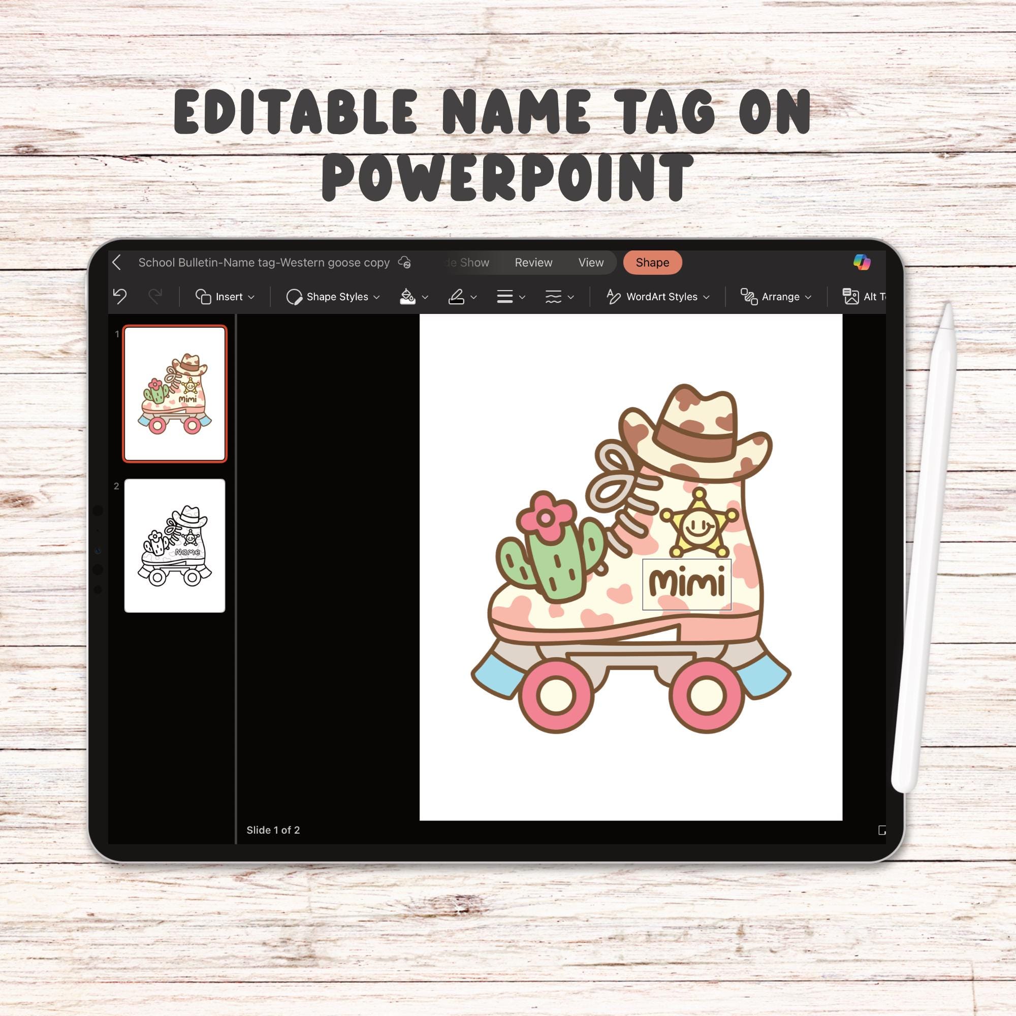 Groovy Western Bulletin Board Kit: Silly Goose Classroom Decor (digital ...