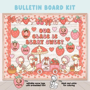 Summer Goose Bulletin Board, May June End of Year Door Decor, Our Class ...