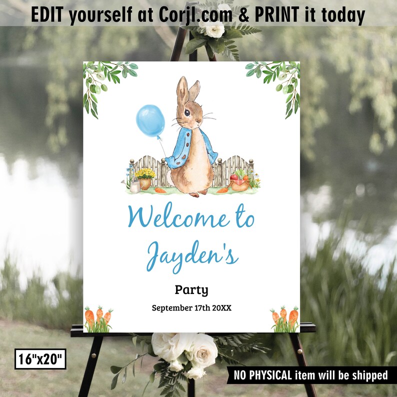 Peter Rabbit / Boy / Blue / Farm Animals / Bunny Party / Baby - Etsy Canada