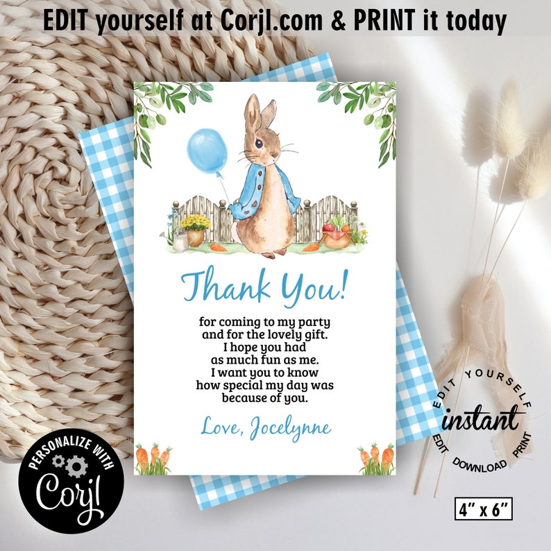 Peter Rabbit / Boy / Blue / Farm Animals / Bunny Party / Baby - Etsy Canada
