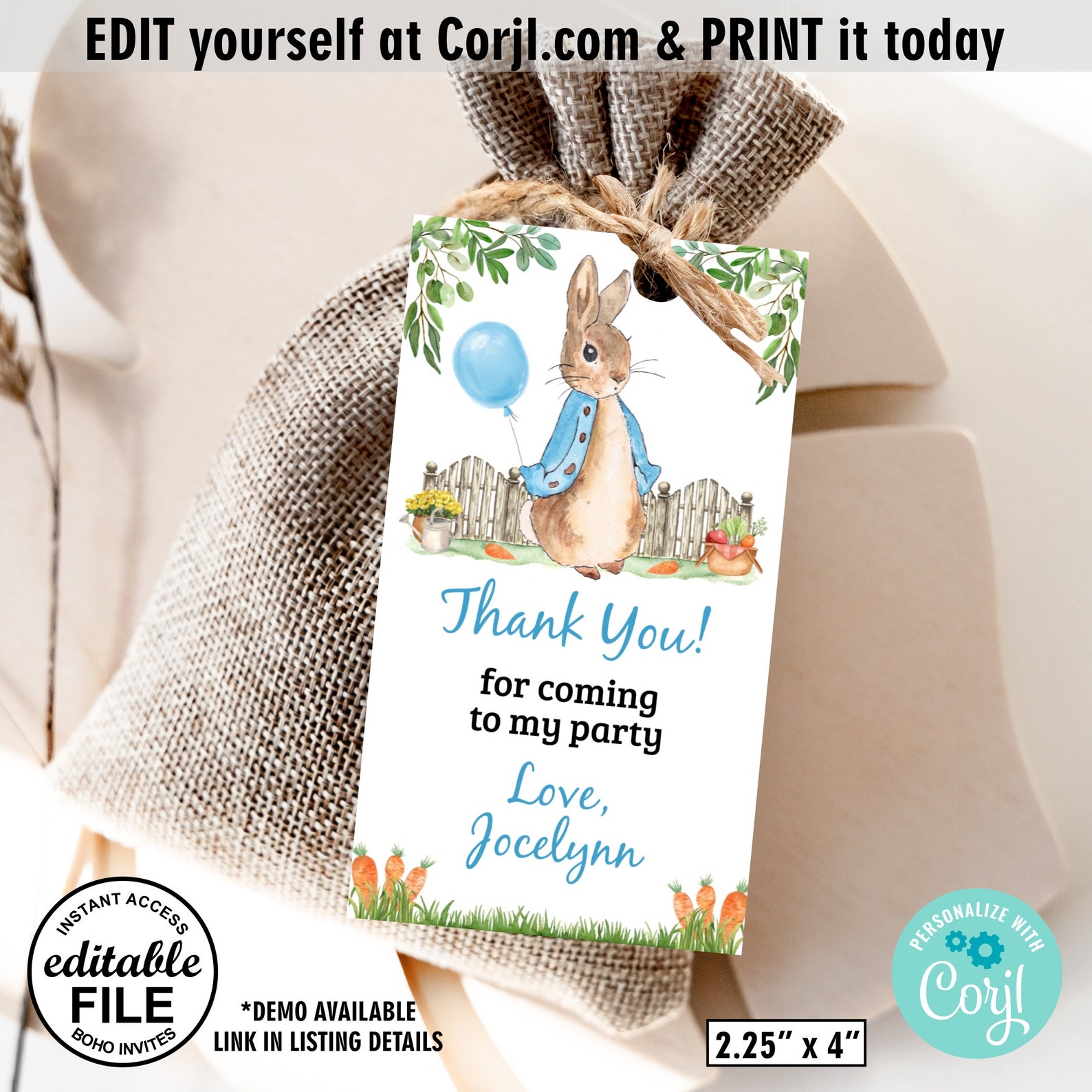 Peter Rabbit / Boy / Blue / Farm Animals / Bunny Party / Baby - Etsy Canada