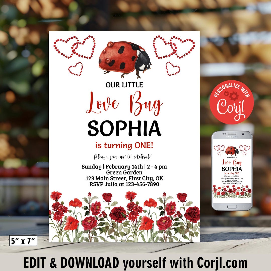 Valentine's Birthday Party Invitation / Valentine's Invite Love Bug ...