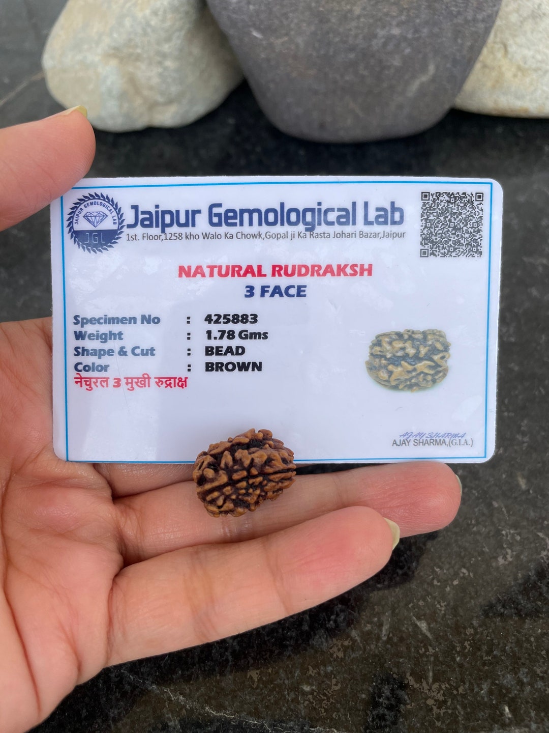 Lab Certified 3 Face Rudraksha Natural Rudraksha Bead - Etsy