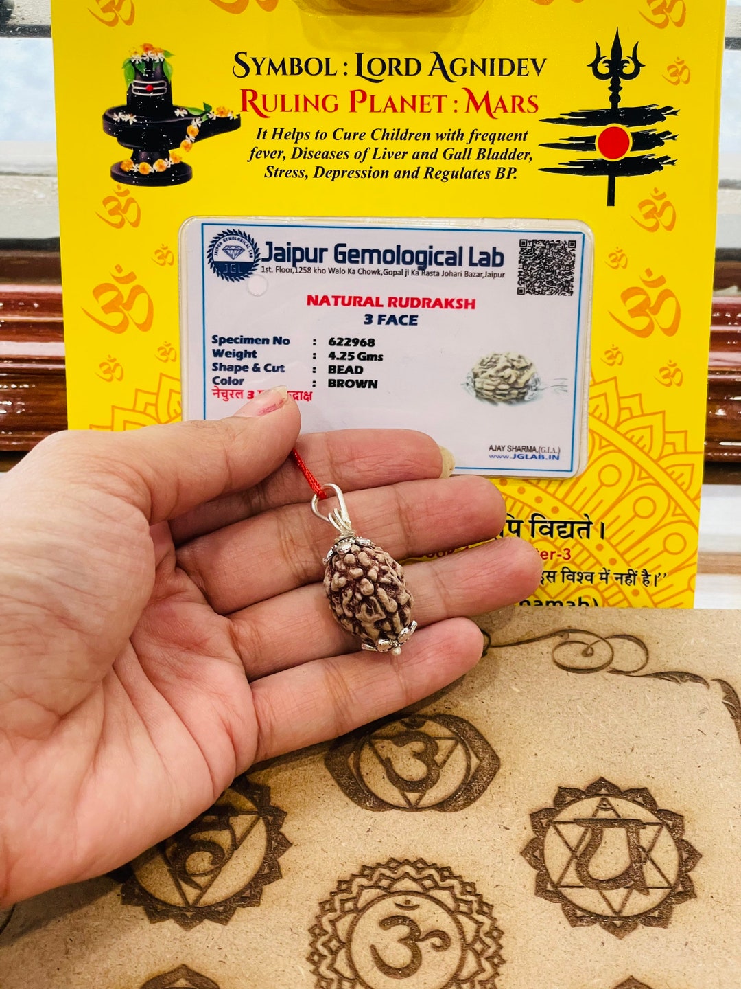 Lab Certified 3 Face Rudraksha - Natural Rudraksha Bead - Shiva ...