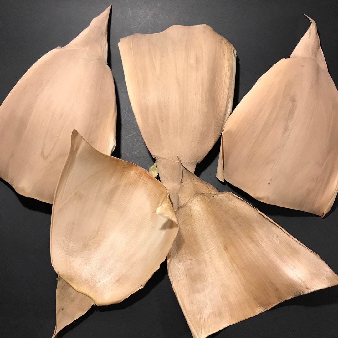 Florida Bamboo Culm Sheath for Craft & Arts. Natural Organic Crafting ...