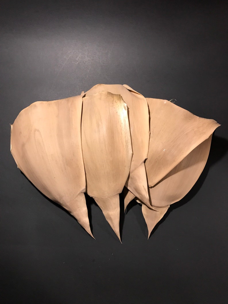 Florida Bamboo Culm Sheath for Craft & Arts. Natural Organic Crafting ...
