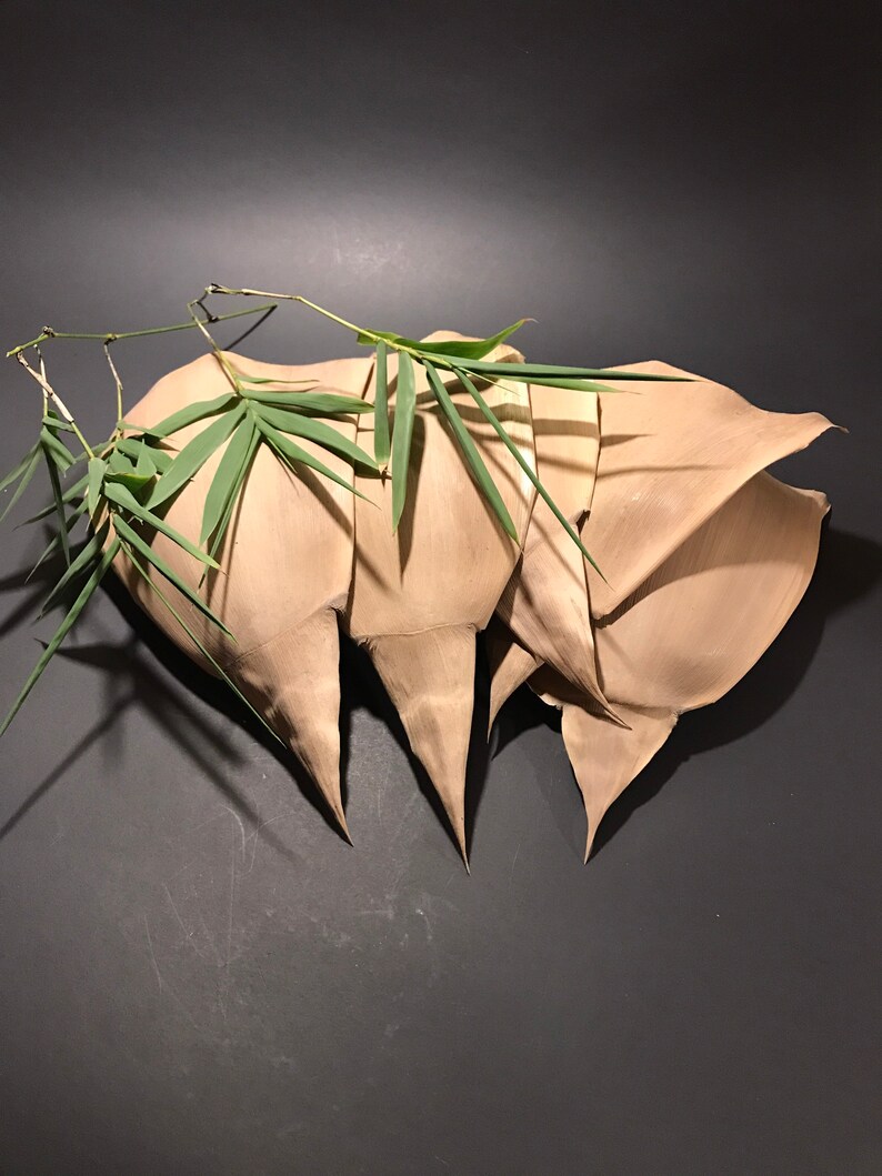 Florida Bamboo Culm Sheath for Craft & Arts. Natural Organic Crafting ...