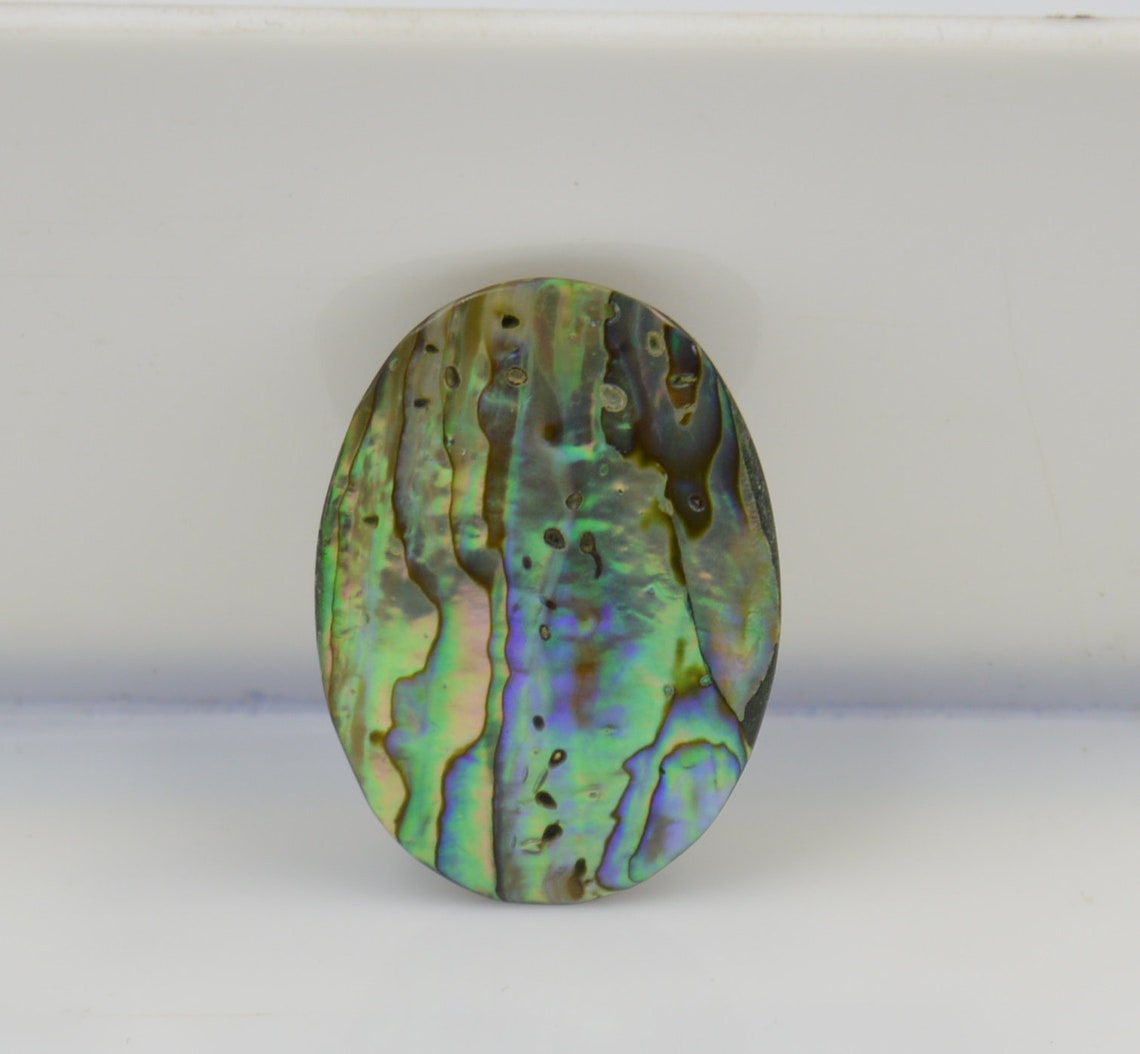 Designer Abalone Shell 38 Carat Iridescent Flashy Natural - Etsy UK