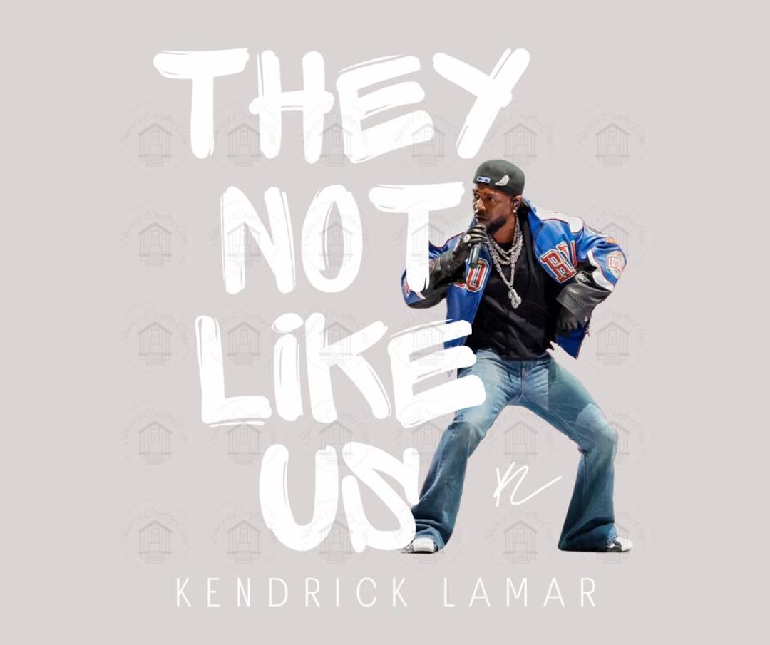 They Not Like Us- DTF Transfer Print- Ready to Press - Etsy