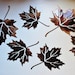 Maple Leaf Home Décor Set of 6 - Etsy
