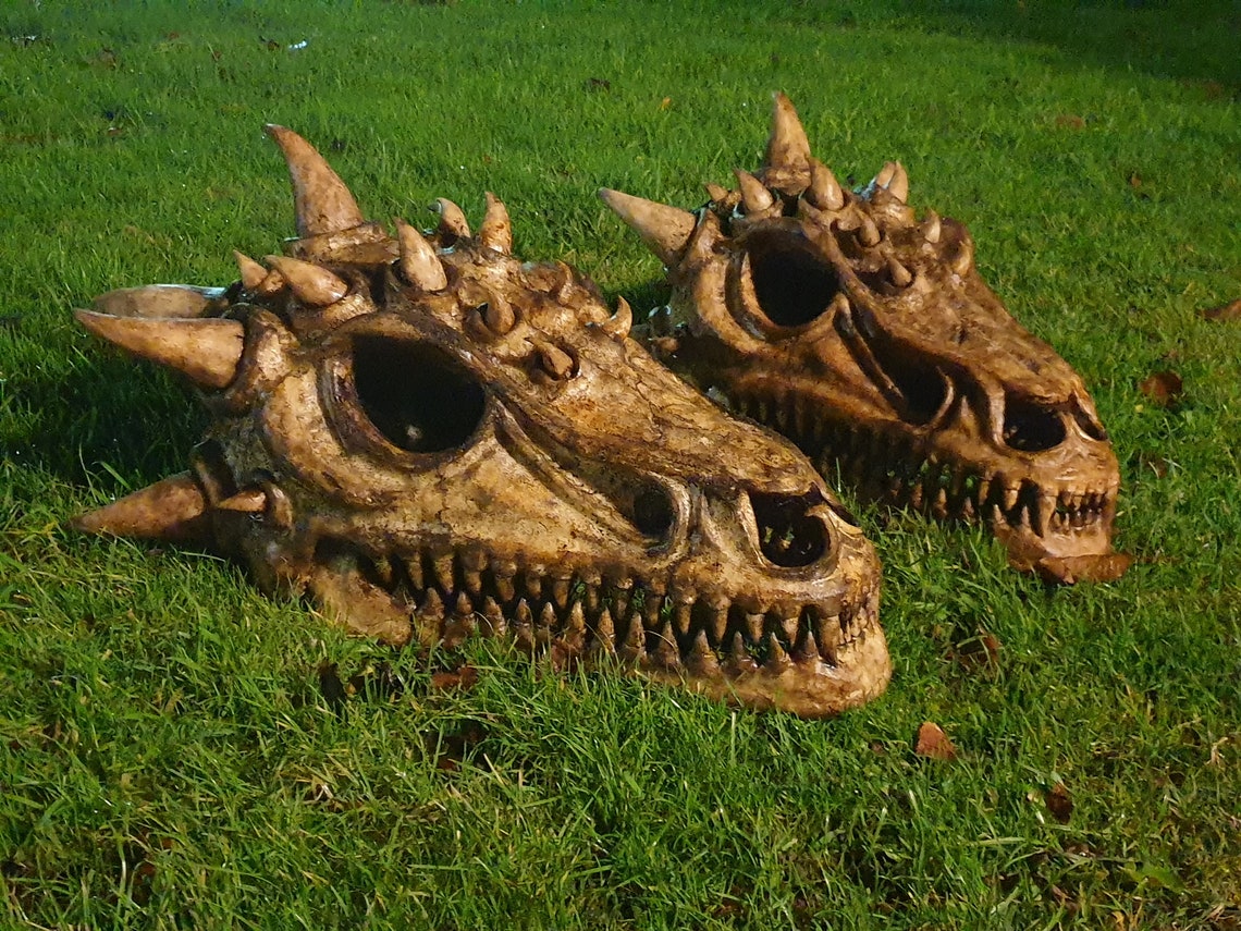 Dragon Skull Extra Large Wall Mountable Dungeons and - Etsy